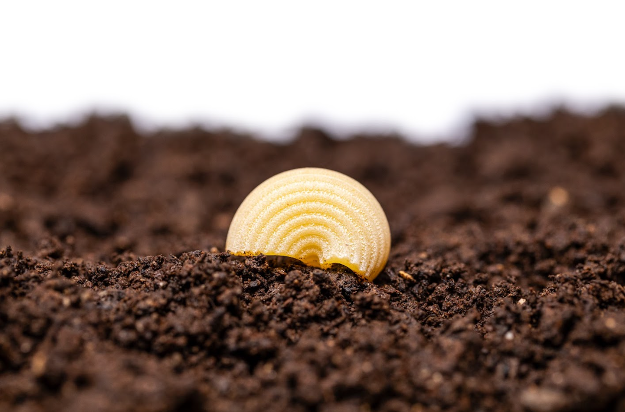 Le nuove Lumache Rigate Mancini – Pasta Mancini