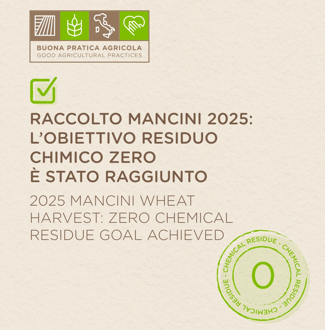 2025: anche questo Raccolto Mancini è a Residuo Chimico Zero – Pasta ...